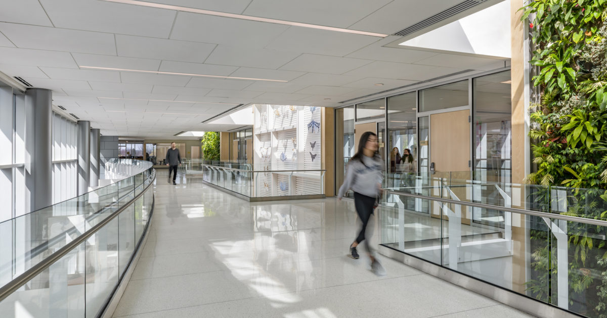 Wight & Company | Sustainable Design Transforms the Student Experience