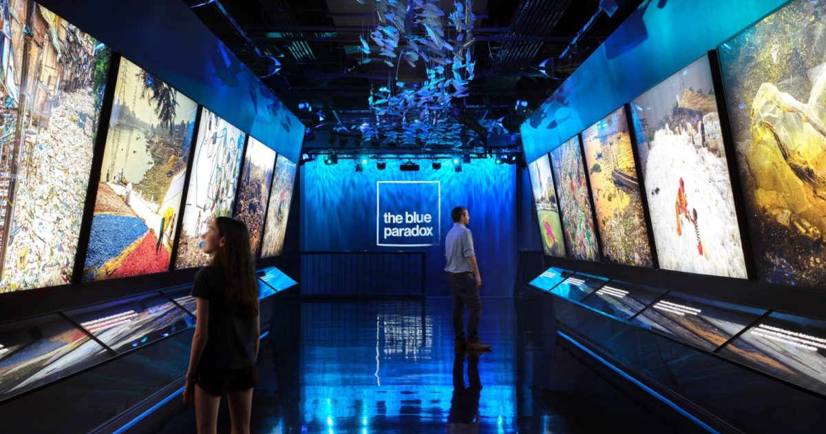 Wight & Company | Blue Paradox Exhibit, Griffin Museum of Science and…